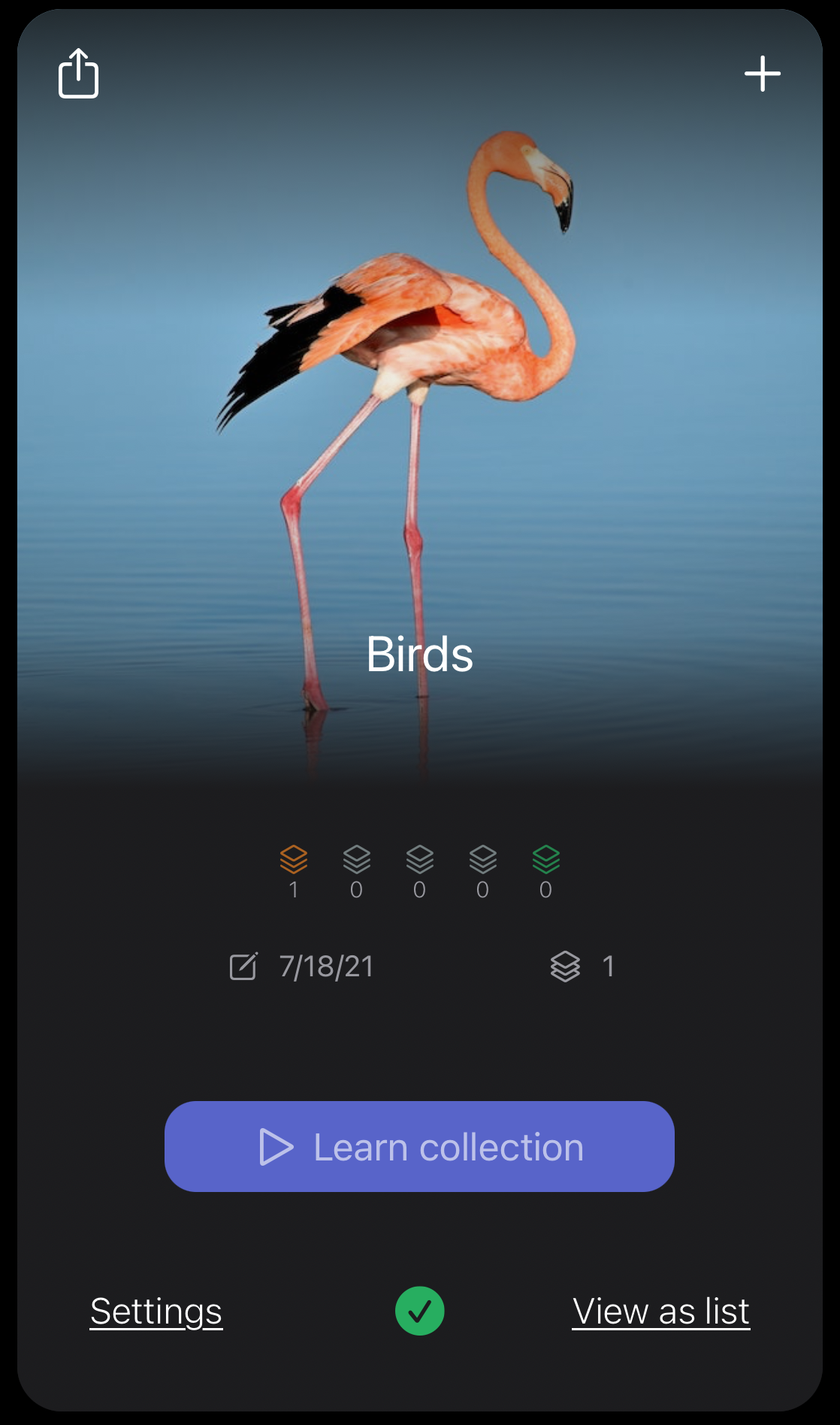 HexaFlash FlashCards Made Right